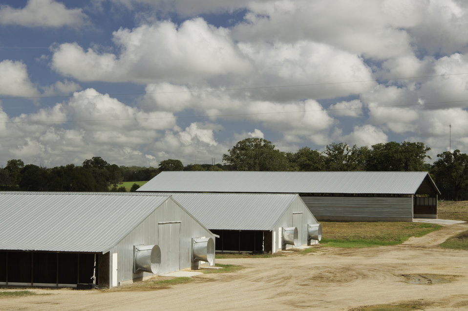 State Study Indicates Accomack Poultry Regulations are Effective ...