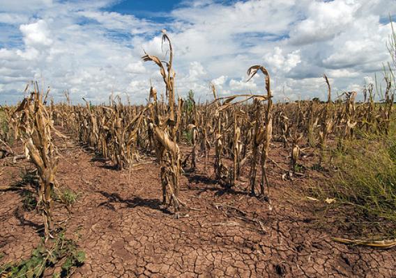 Statewide Drought Watch Advisory Issued | Plows and Politics