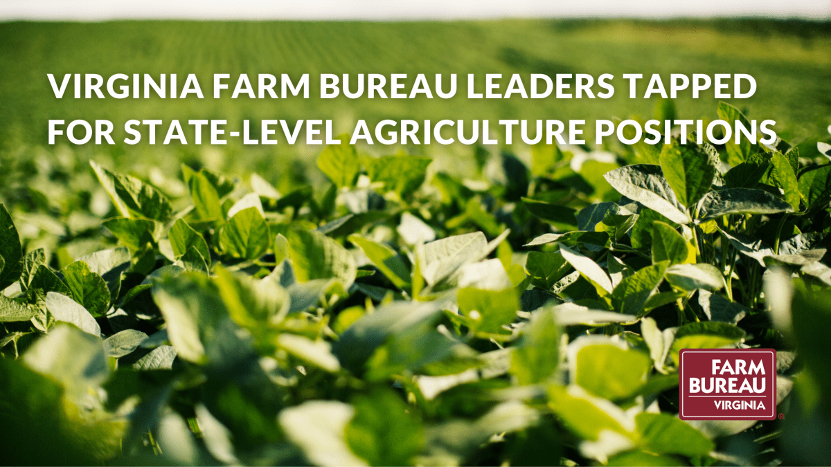 Virginia Farm Bureau Leaders Tapped for State-level Agriculture ...