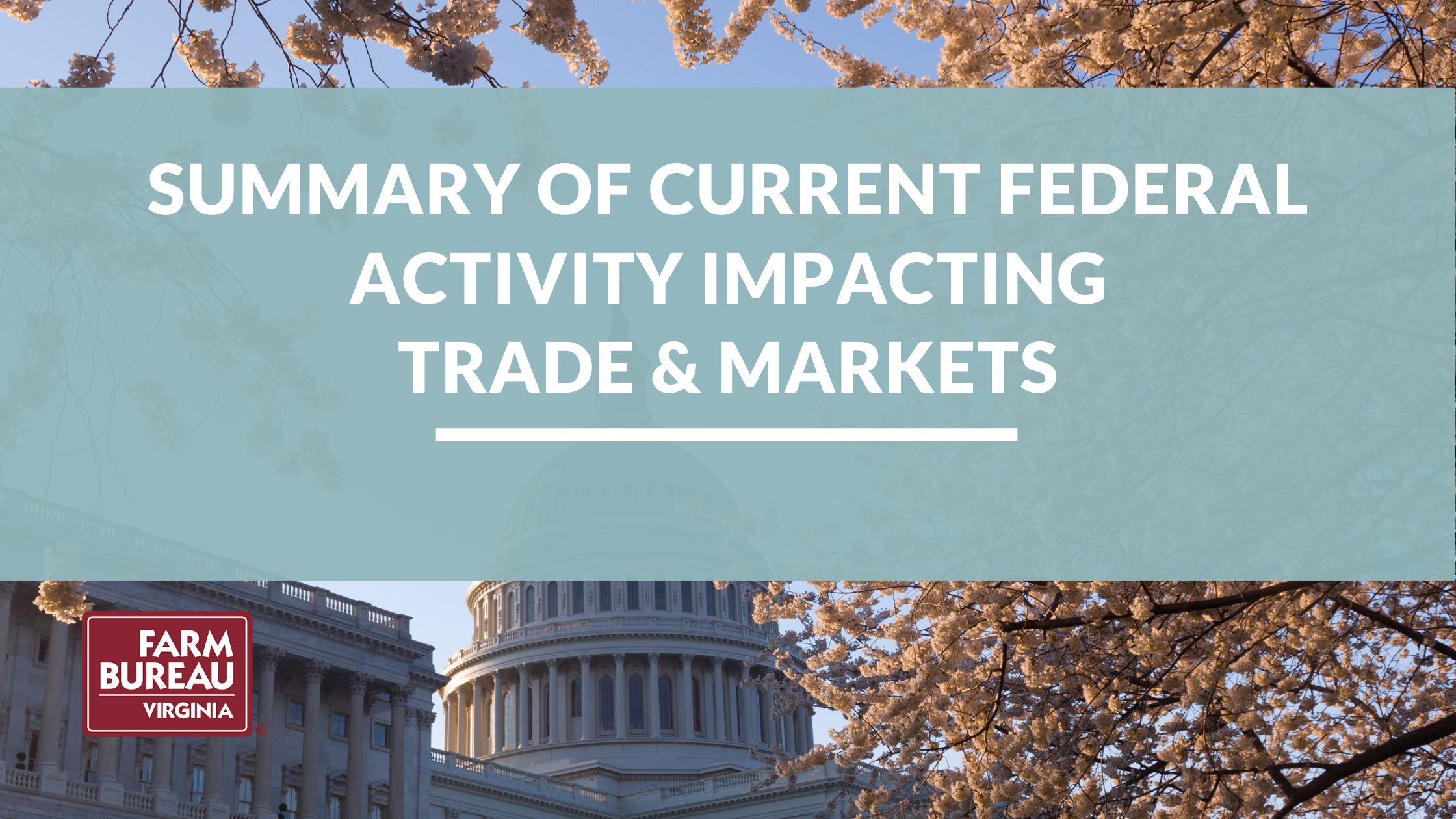 Current Federal Activity Impacting Trade and Markets | Plows and Politics