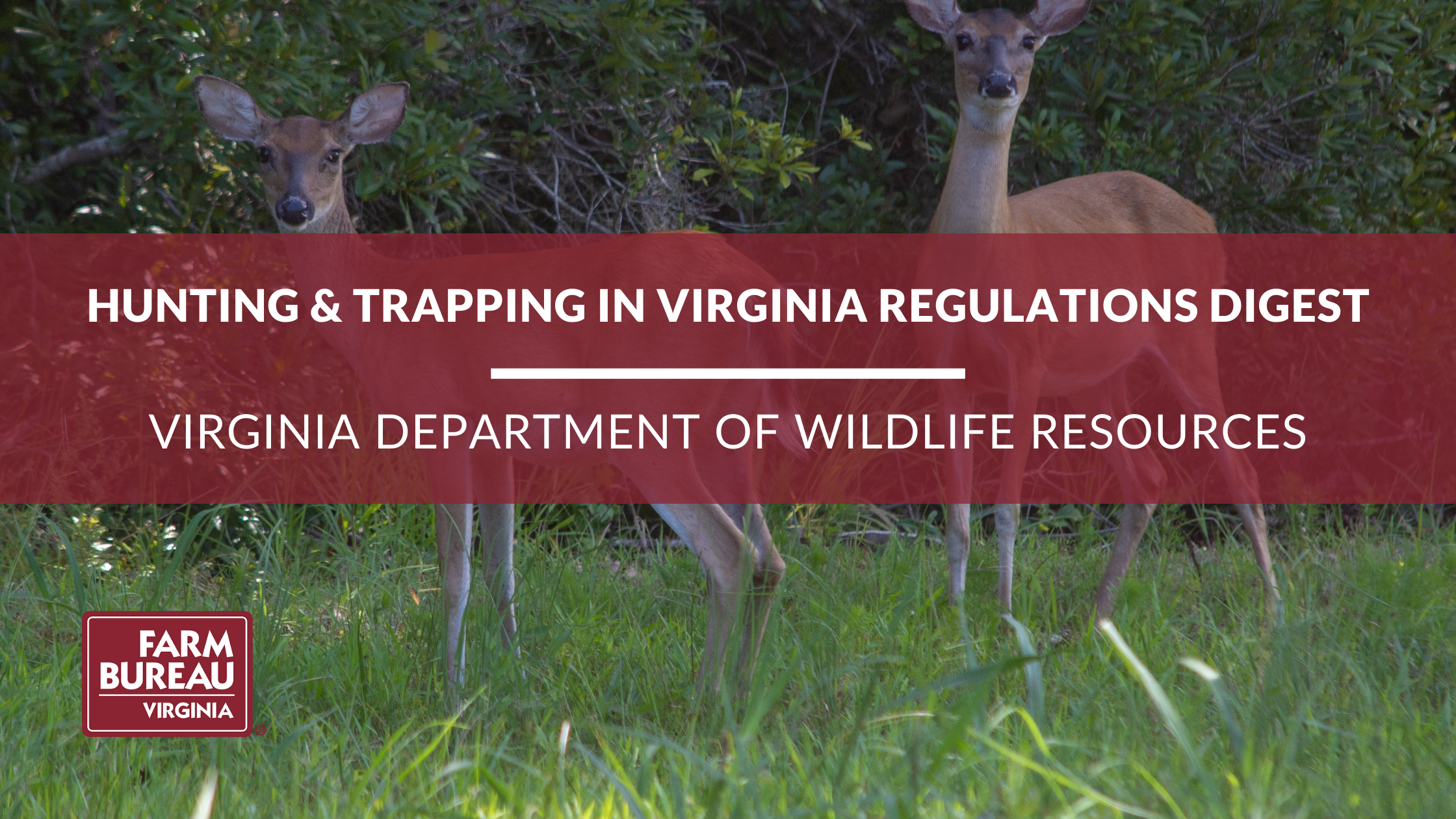 Hunting & Trapping in Virginia Regulations Digest | Plows and Politics