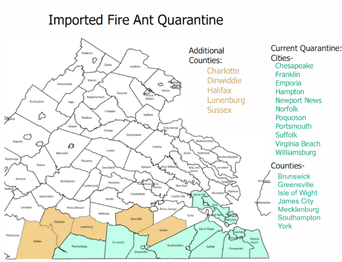 VDACS Expanding Imported Fire Ant Quarantine | Plows and Politics