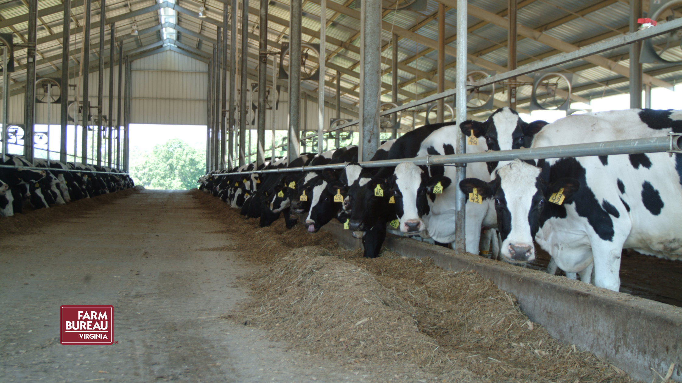 Homestead Creamery Expansion Planned | Plows and Politics